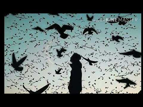 Asim RasimOglu - Ayriliq / Remix
