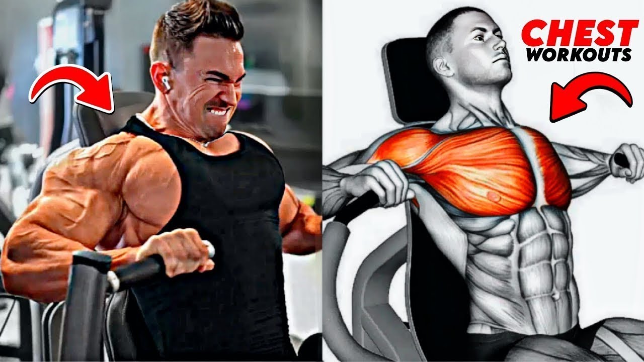 6 Best DUMBBELL Chest Exercises Workouts - Massive - YouTube