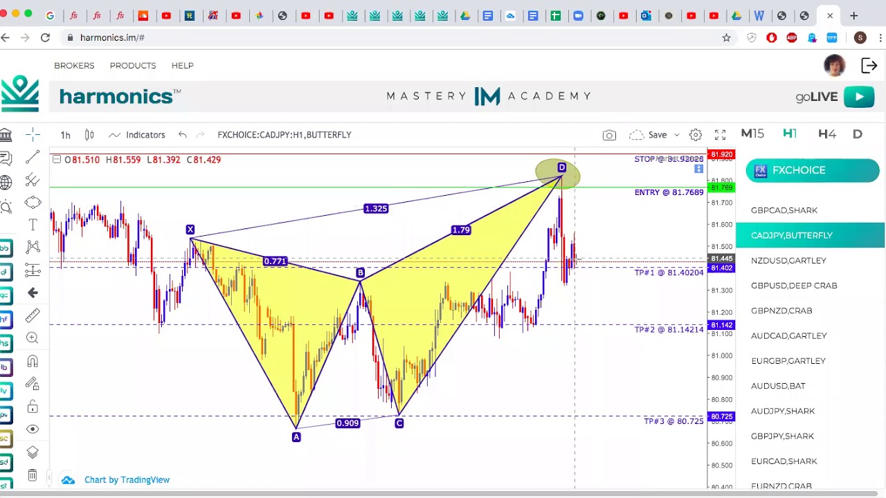 Harmonic Scanner Training - YouTube