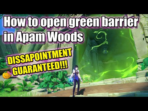How To Open Green Barrier In Apam Woods Unlock a shortcut - Sumeru Genshin Impact 3.0