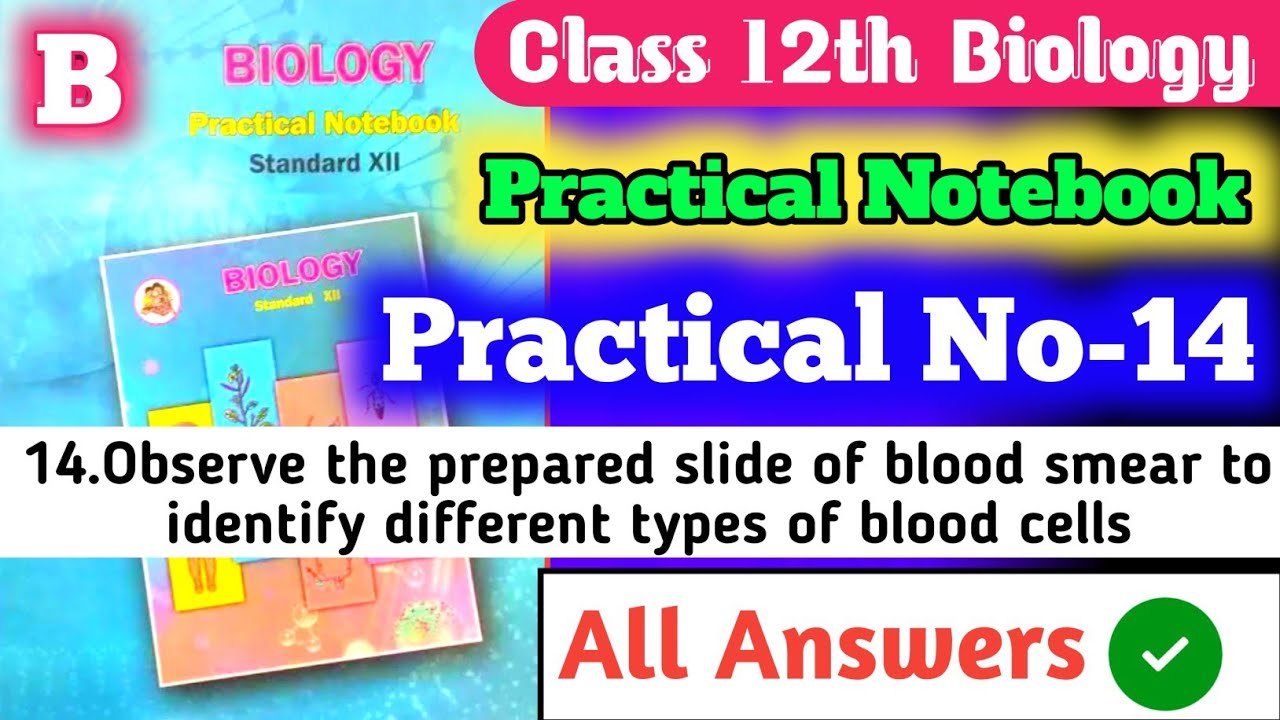Class 12th Biology Practical Notebook|| B) 14.Observe the prepared ...