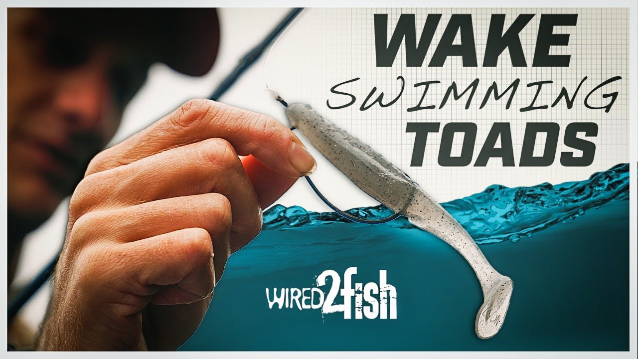 Wake Bait Fishing Paddle Tail Toads with Brandon Cobb - YouTube