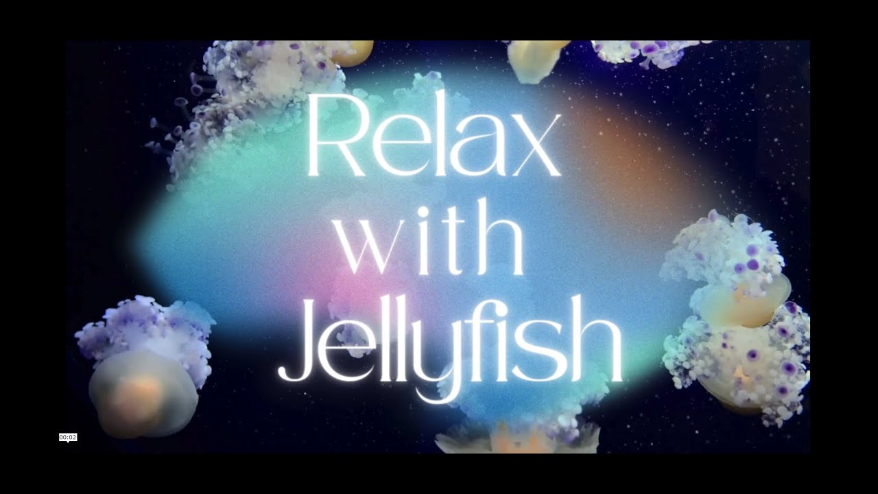 Relaxing Jellyfish & Healing Music | Deep Sleep, Focus, Meditation BGM ...