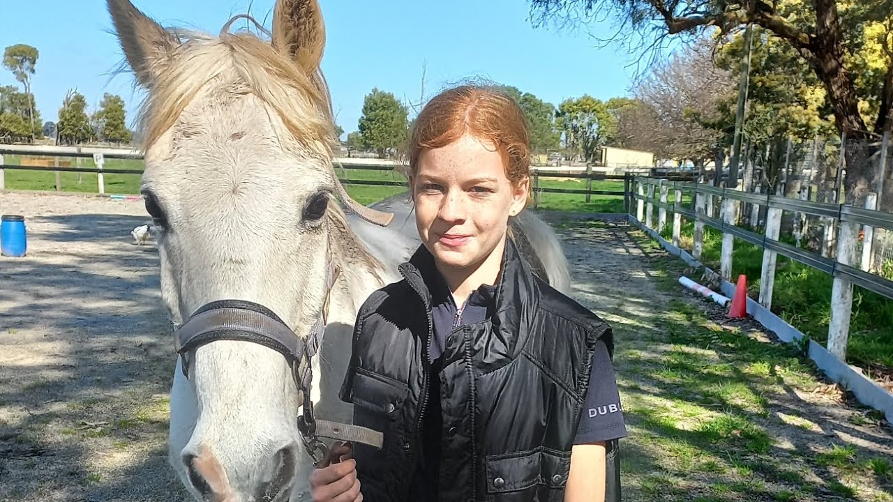 Blended Seven Is Back! New agistment for our pony Huckleberry - YouTube