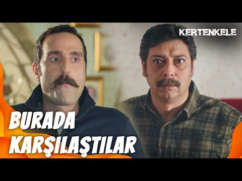 Ziya başkasının evine girip uyudu, Ünsal da peşinden girdi - Kertenkele 44. Bölüm