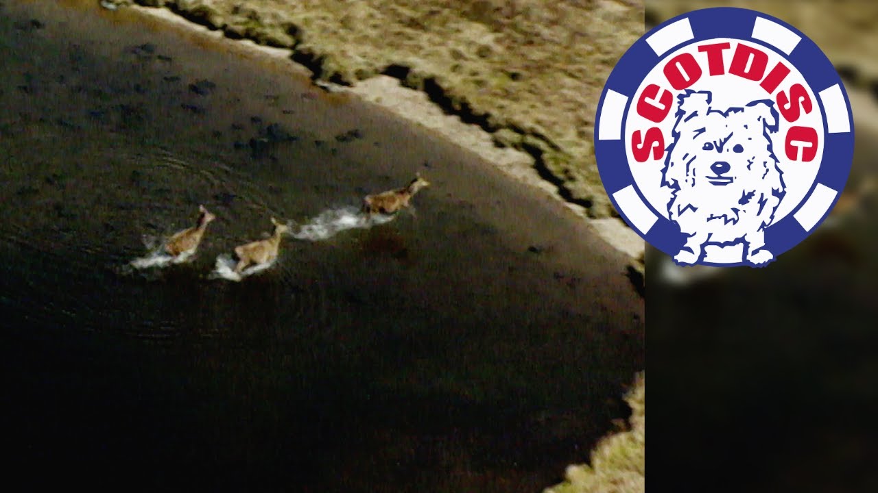 The Dark Island - Eric Rigler - YouTube