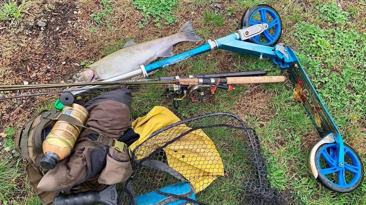 Scooter Coho / Michigan Salmon Fishing Videos - YouTube