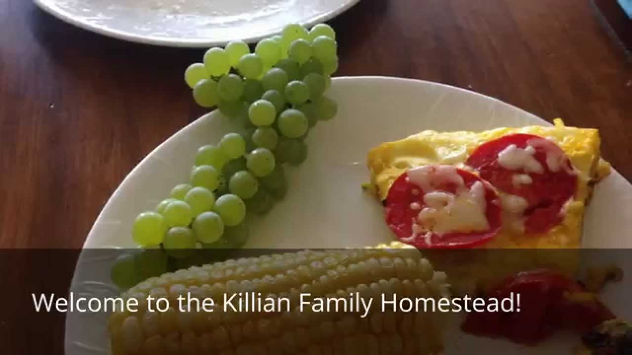 (7/26/2015) A Homestead Meal / Garden Harvest - YouTube