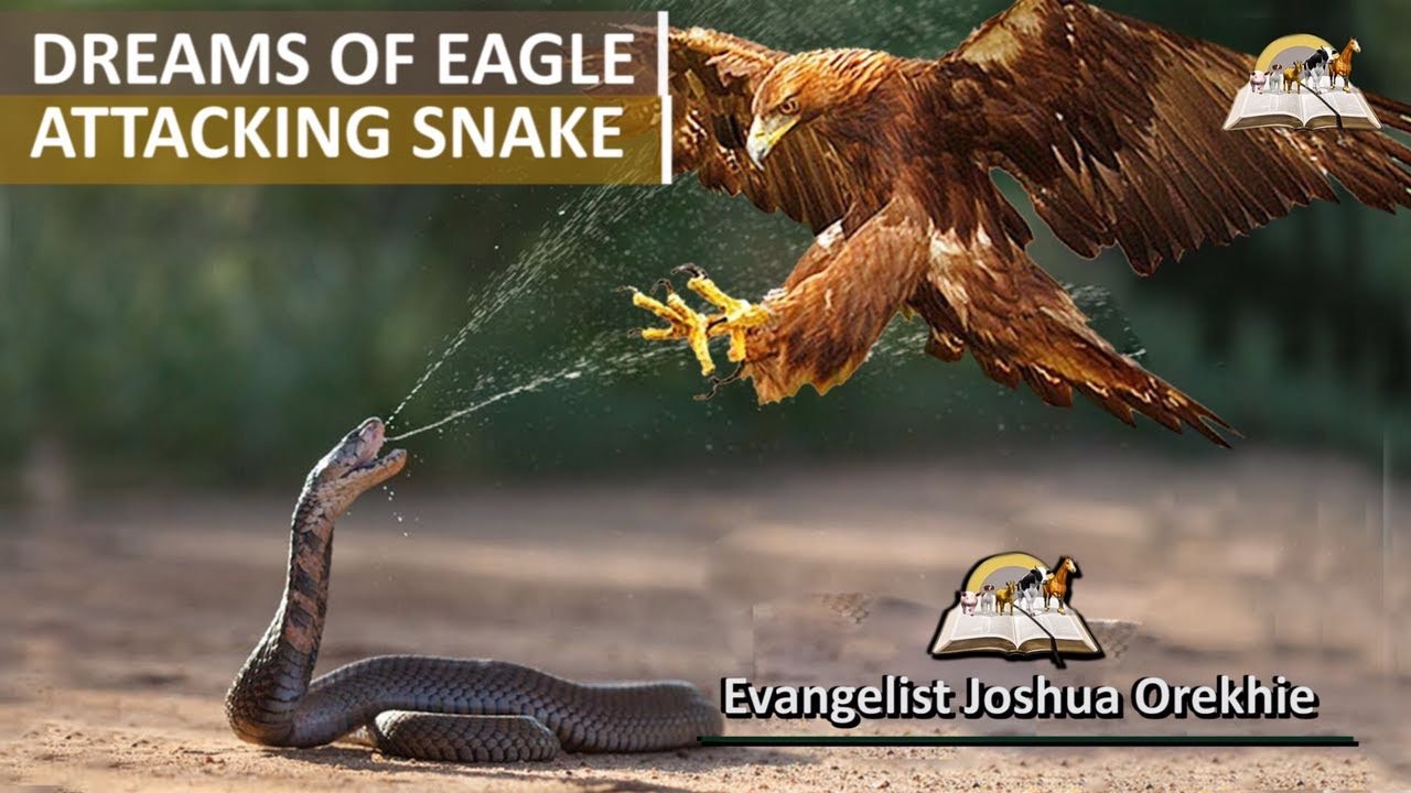 Dreams of EAGLE Attacking SNAKE - What Does It Mean Spiritually? - YouTube