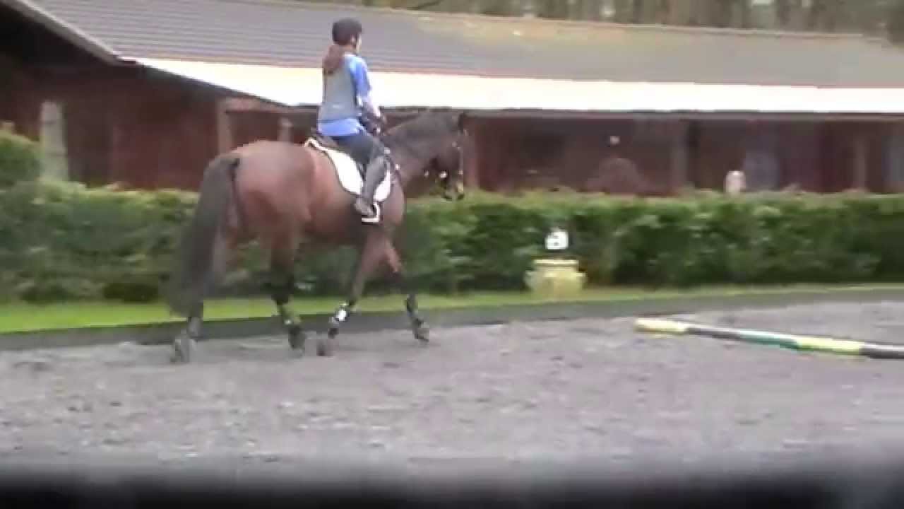 Alice 25th Feb 2011 Rhythm Training Eye For Distance BHS Stage 4 alice-25th-feb-2011-rhythm-training-eye-for-distance-bhs-stage-4