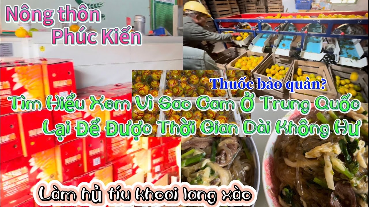 [127]Tìm Hiểu Cam Ở Trung Quốc vì sao để được lâu? Thuốc bảo quản?Hủ ...