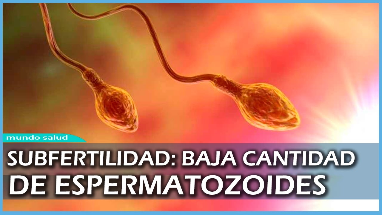 👨‍⚕️Reduce concentración de espermatozoides: ¿qué significa? # ...