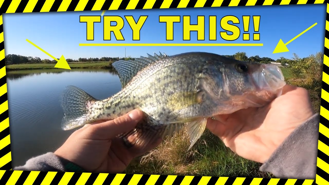 Stop Struggling! This Simple Trick Guarantees GIANT FALL CRAPPIE! - YouTube