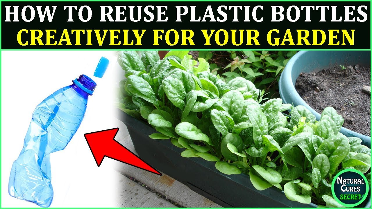 How To Reuse Plastic Bottles Creatively For Your Garden - Gardening ...