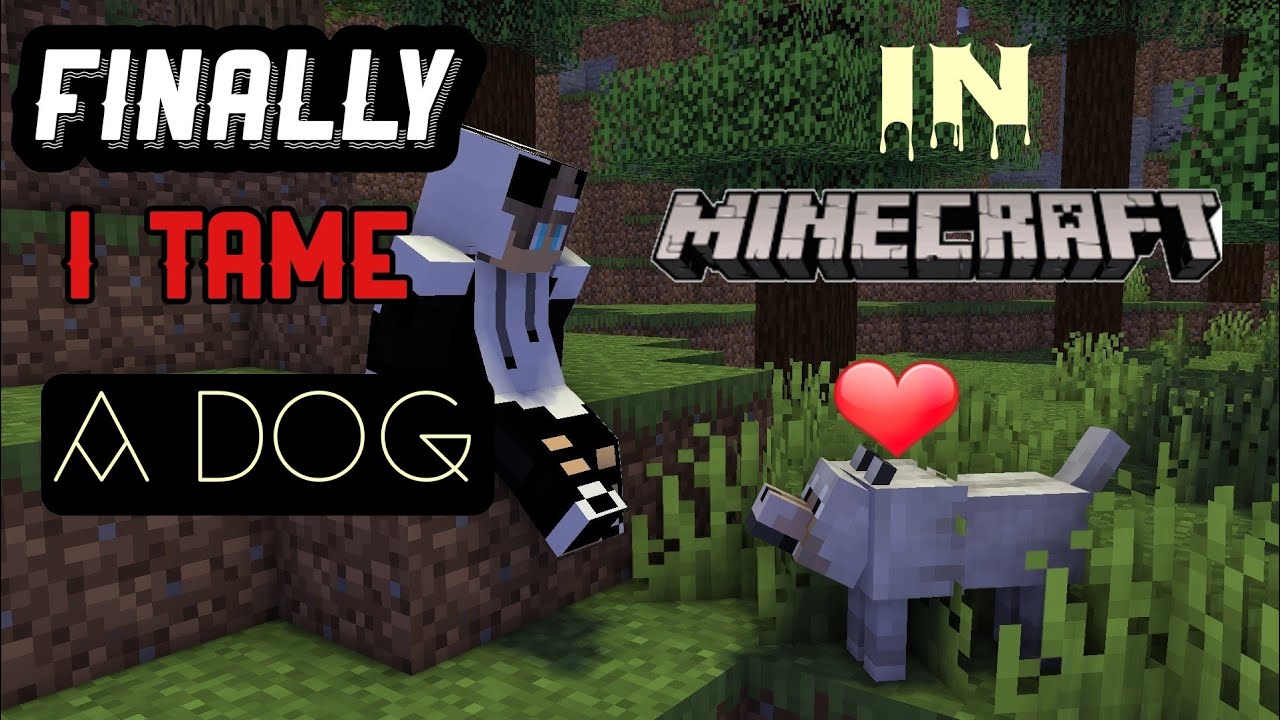I TAME A DOG IN MINECRAFT ! - YouTube
