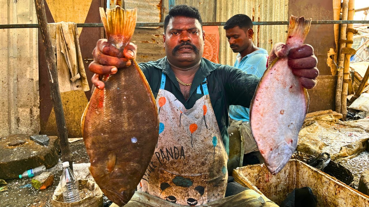 SOLE (NAAKU) FISH CUTTING BY SPEED SELVAM | HD VIDEO | IN KASIMEDU ...