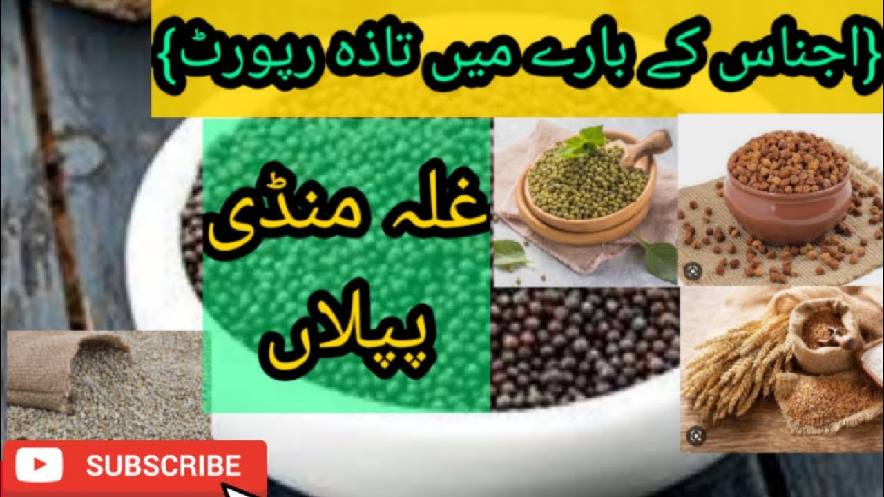 Today Gala Mandi Piplan rates | 15-03-2023 - YouTube