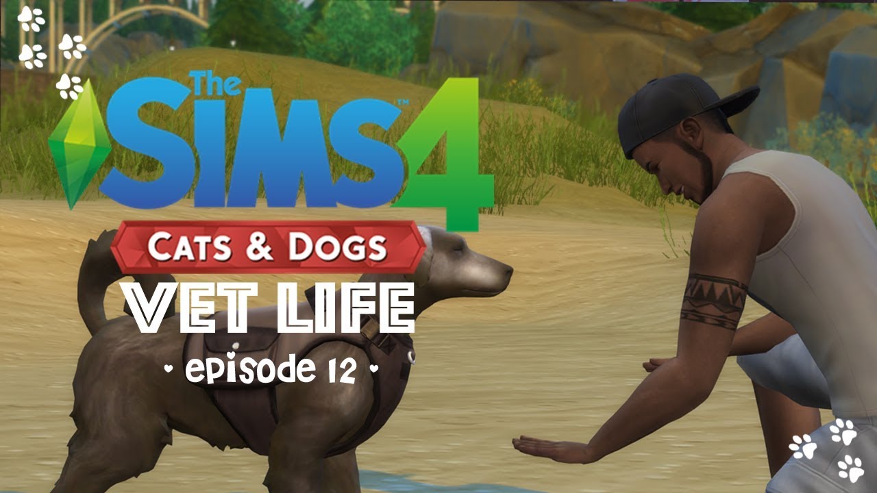 Sims 4 Cats & Dogs Ep 12: Reginald Wants a Baby! - YouTube