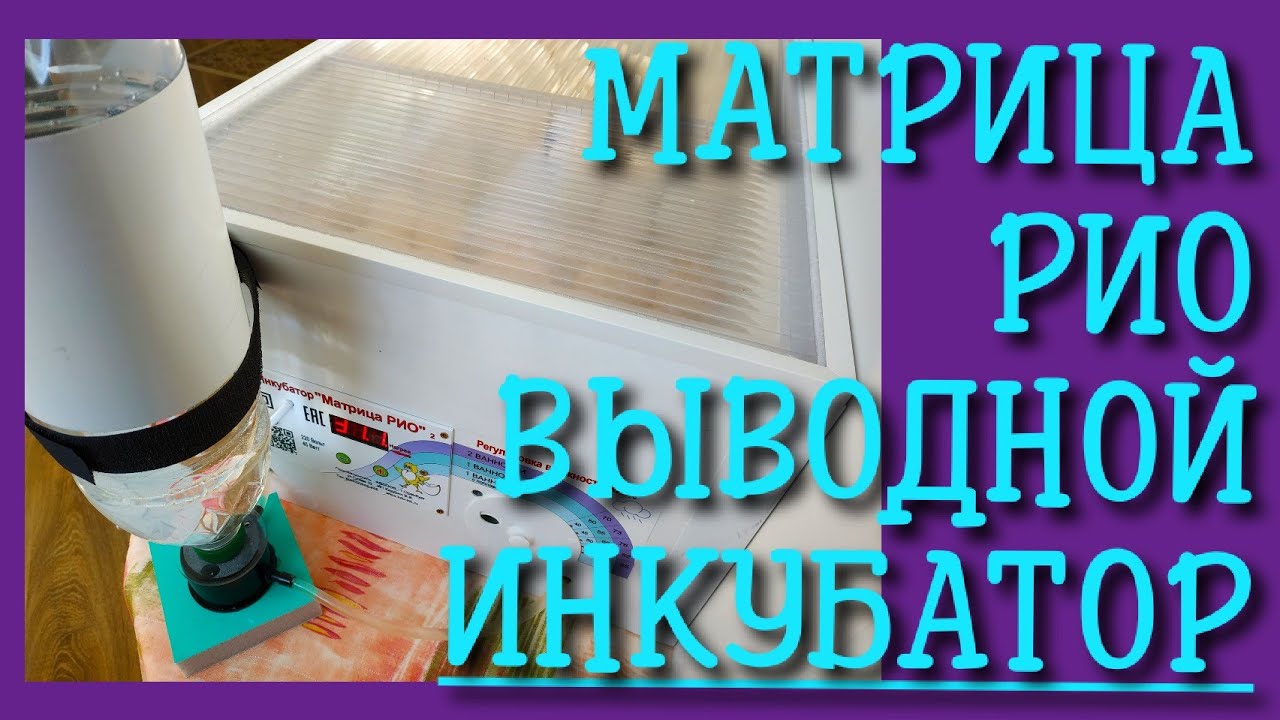 МАТРИЦА РИО - ПАЛОЧКА ВЫРУЧАЛОЧКА - ВЫВОДНОЙ ИНКУБАТОР 👍 РАСПАКОВКА И ...