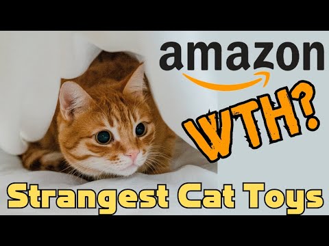 10 of the Wacky Crazy Cat Toys found on Amazon - Play Time! - YouTube