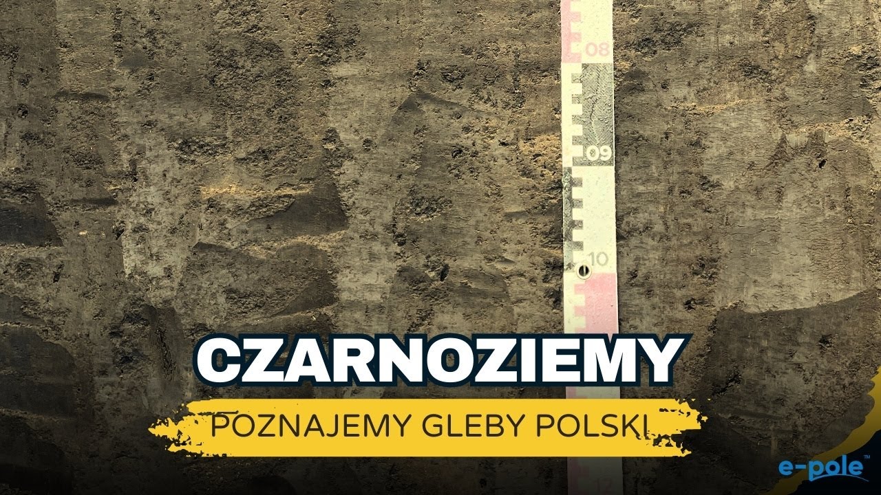 💡 Perła wśród gleb - CZARNOZIEMY! Poznajemy gleby Polski z prof ...