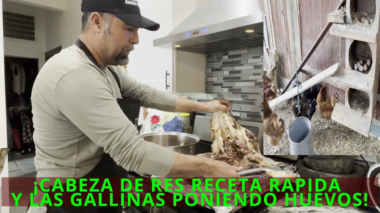 Cabeza De Res RECETA Facil Y Rapida Y Huevos En Abundancia! - YouTube