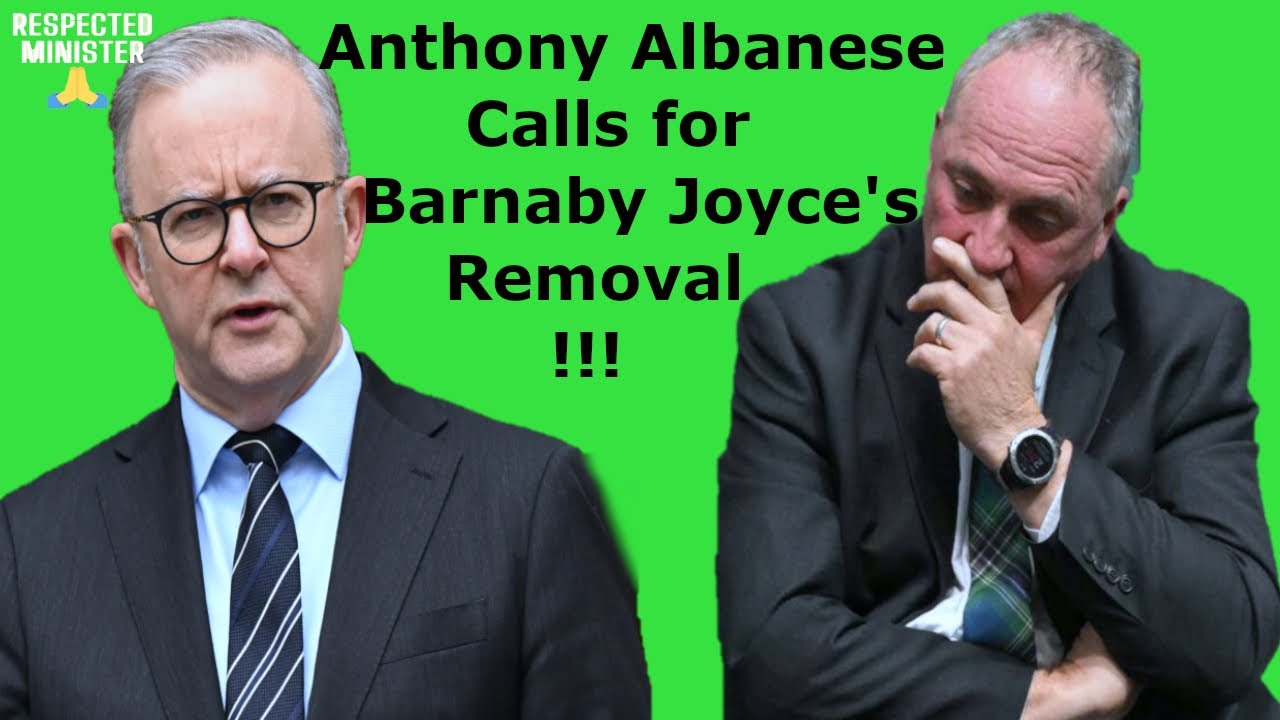 Albanese Calls for Barnaby Joyce's Removal Over Wind Farm Comments ...
