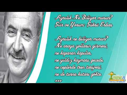 Ayrılık Ne Biliyor musun? - Şiir ve Yorum: Şükrü Erbaş