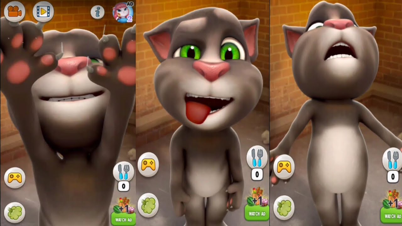 Talking Tom cat 😺 funny cartun eat food viral videos - YouTube