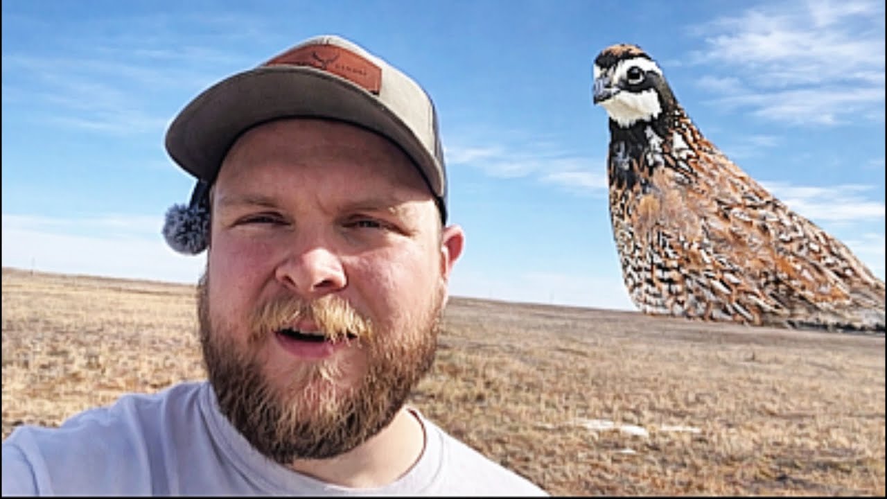 Turning 75 acres into a Wildlife Sanctuary | Project Kickoff! - YouTube