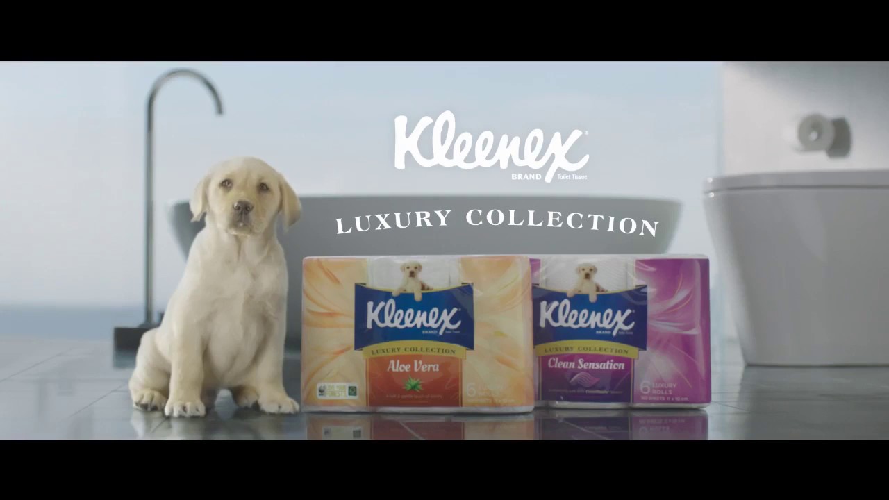 Kleenex Aloe Vera Toilet Tissue - A little bit of luxury TV Commercial ...