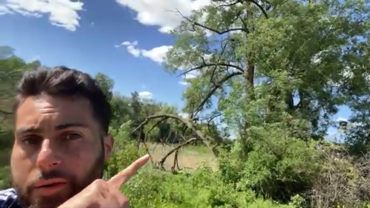 Maple Nature Reserve Nature Walk Trail ! - YouTube