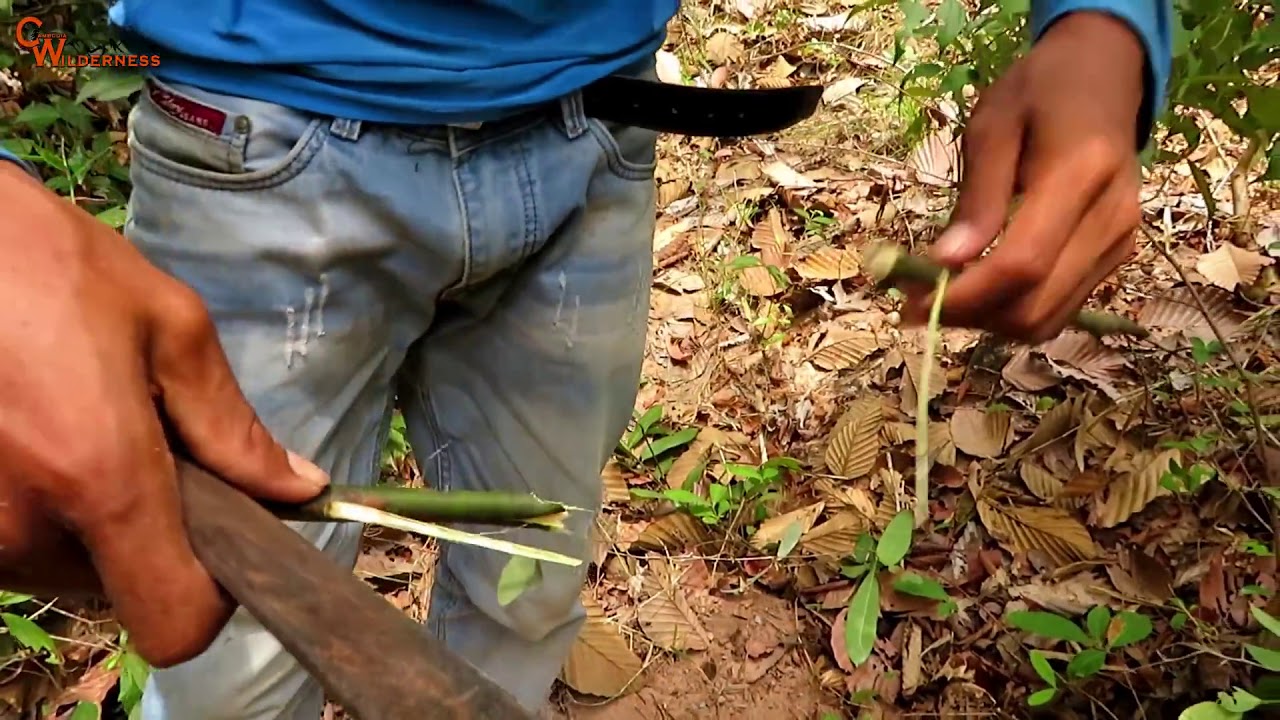 The first creative snake trap usinak snare trap that work 100 my first ...