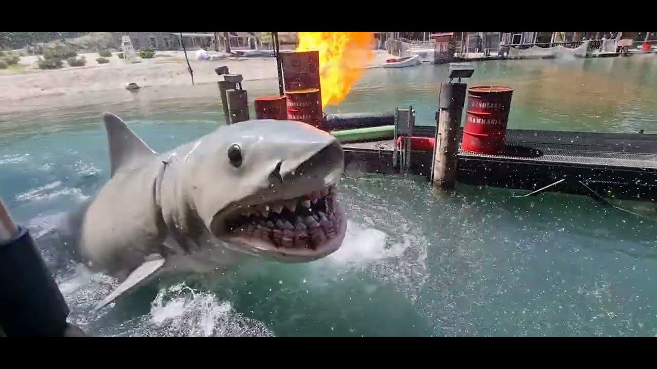 Shark Jumps out of water - YouTube