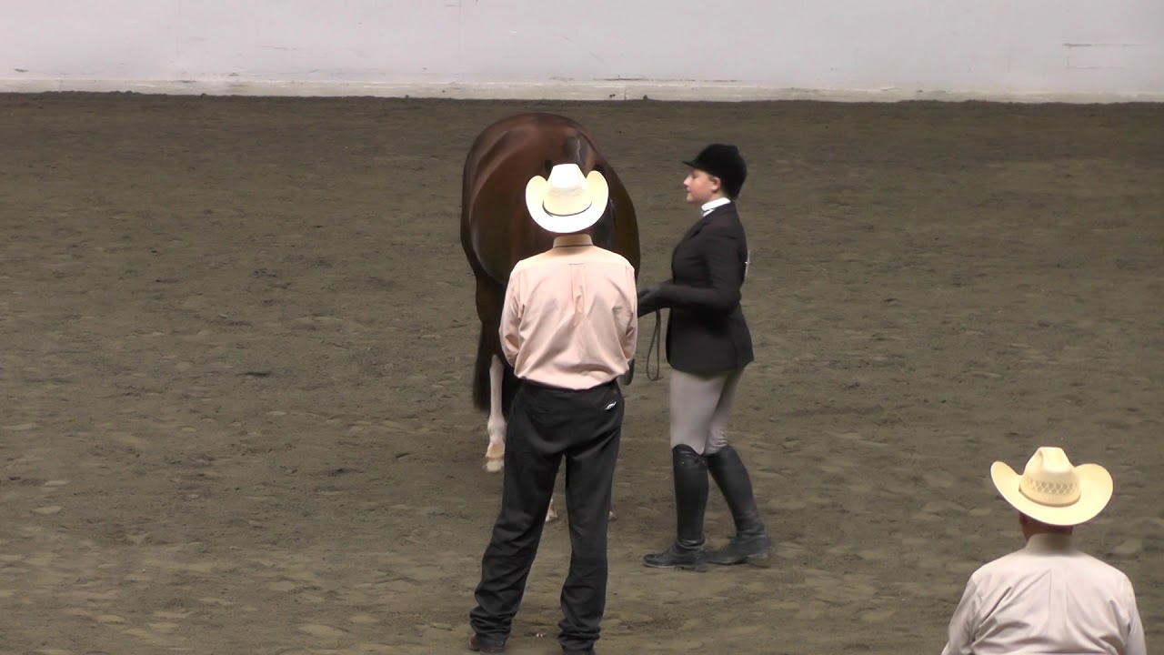 2018 07 28 Abby's Youth English Showmanship 13 and Under - YouTube