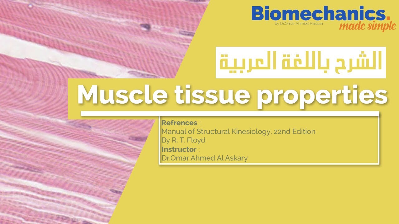 Muscle tissue properties - Biomechanics made simple - YouTube