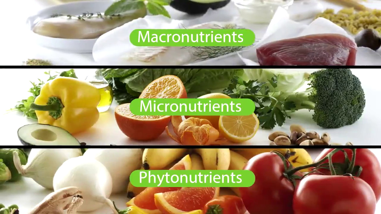 Nutrilite Health Institute : Investigações Clínicas - YouTube