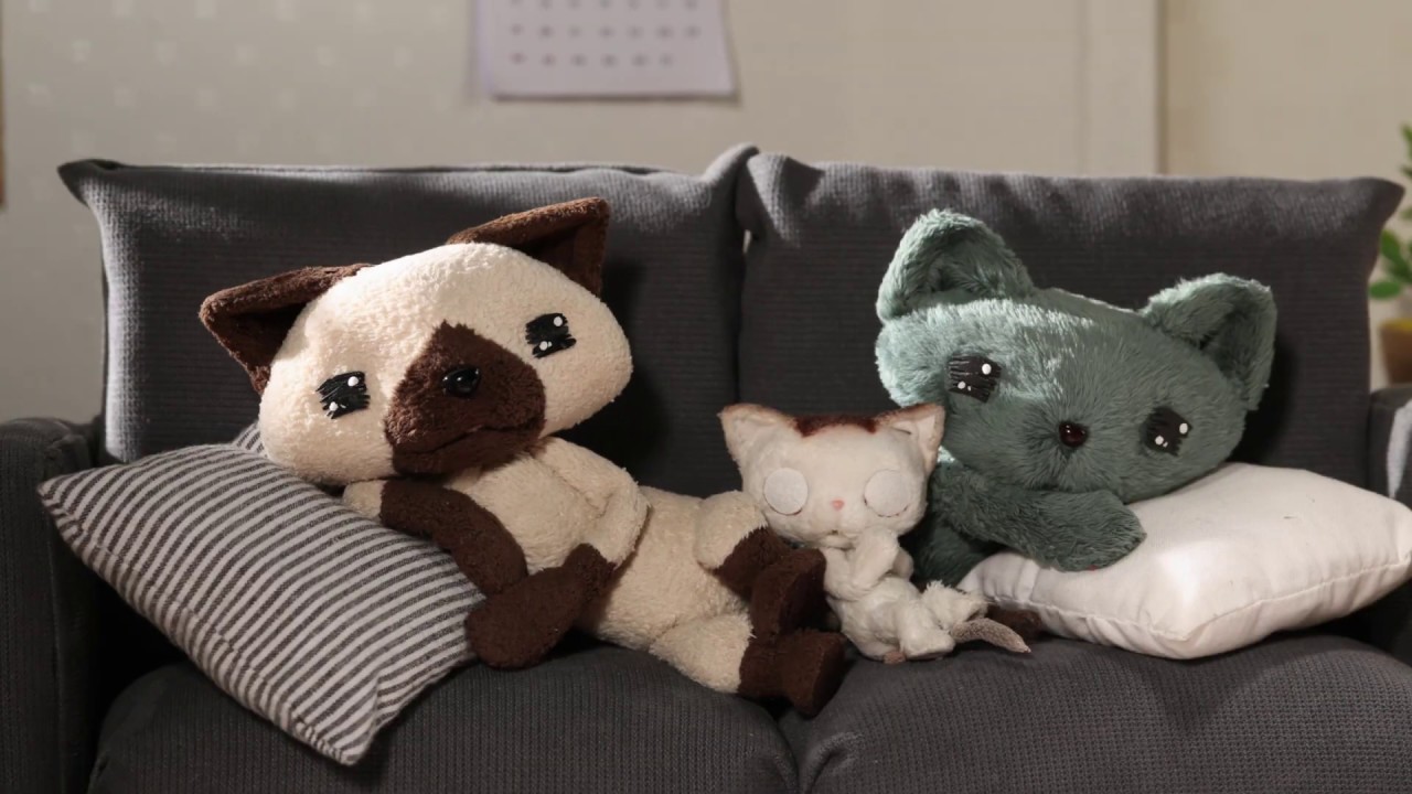 Cats moving when they try to take photos | Stop Motion - BOTOS - YouTube