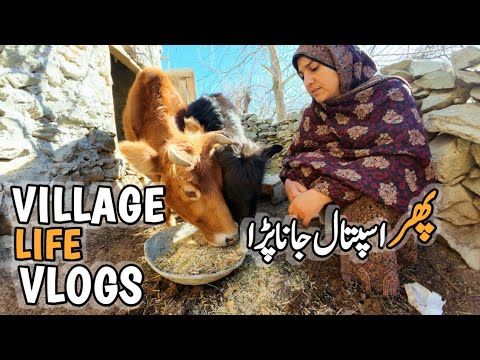 Village Life Vlog | VLOGS NEW VIDEO | Daily Lifestyle Village | Village ...