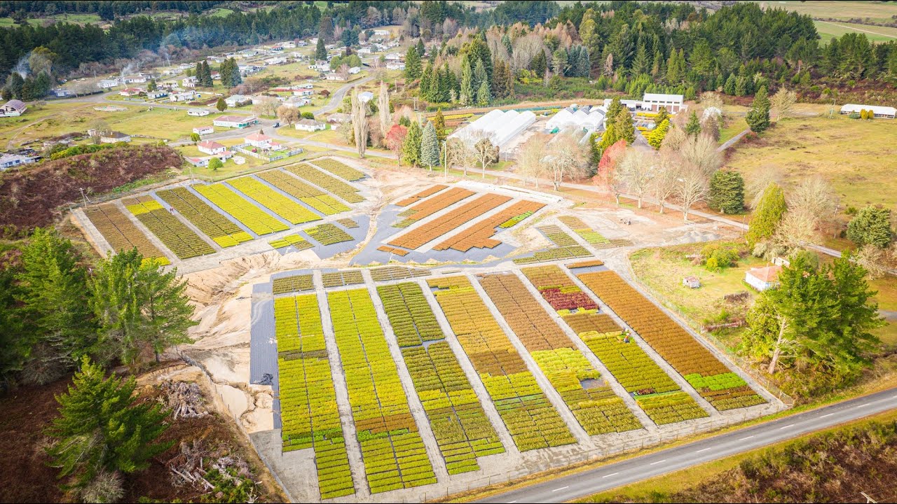 MINGINUI NURSERY INTRODUCTION - YouTube