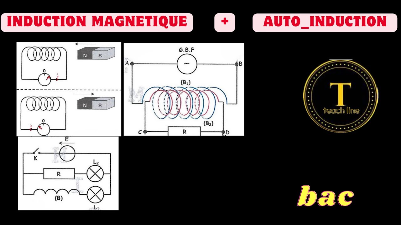 induction magnétique/auto induction - YouTube