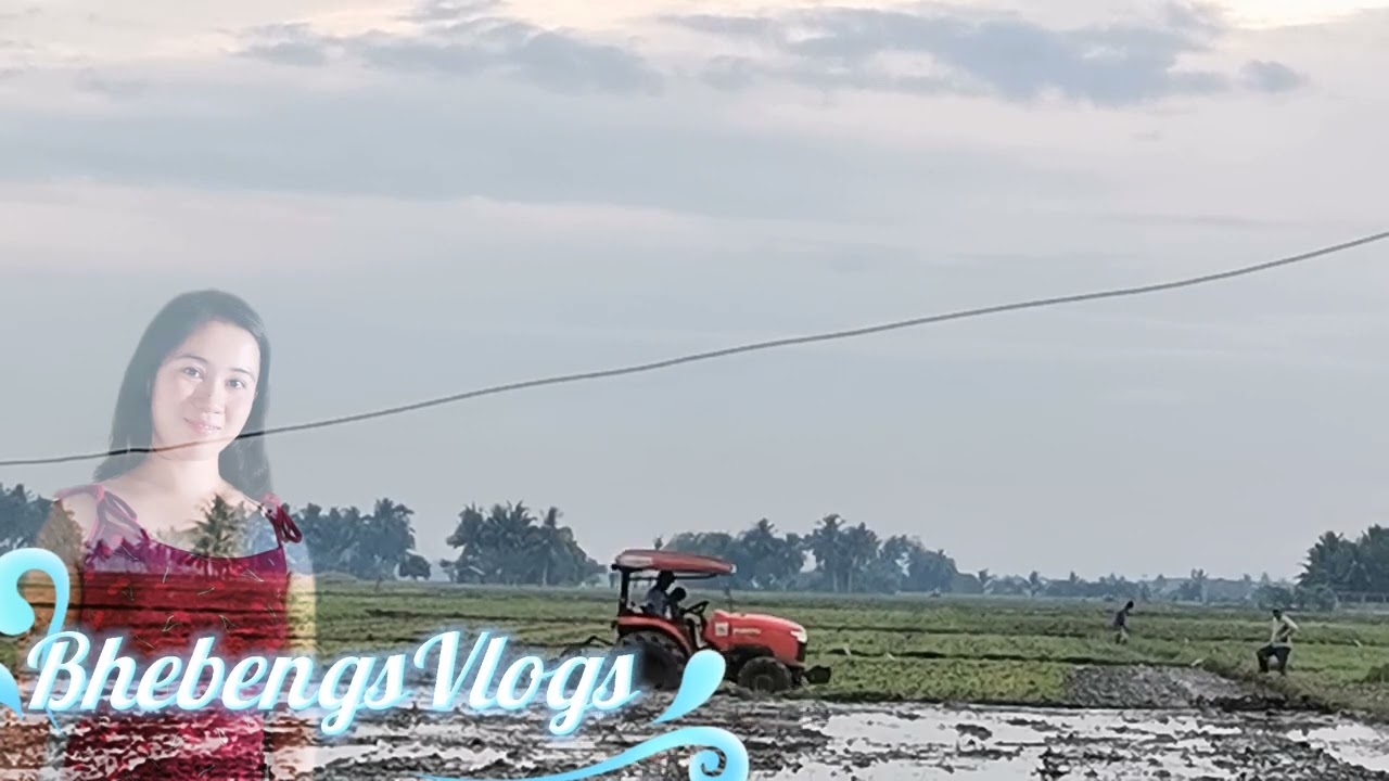 1st step paghahanda sa pagtanim ng palay - YouTube