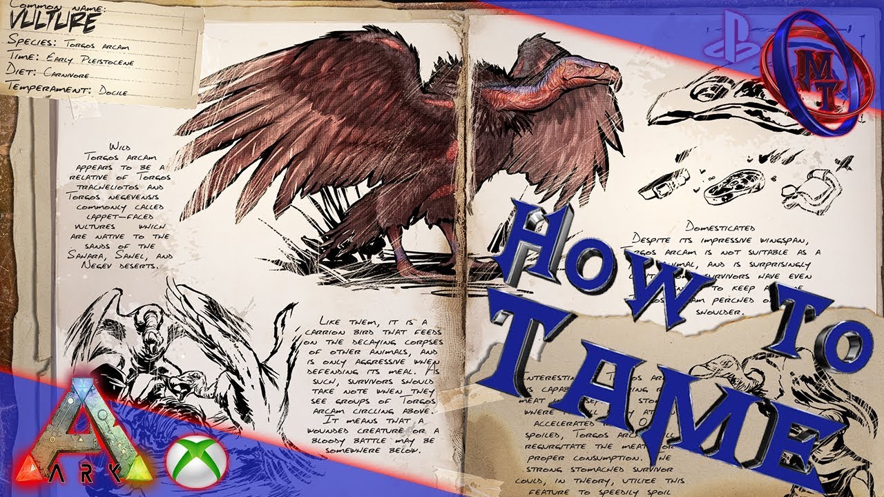 Ark Survival Evolved How To Tame Vulture - YouTube