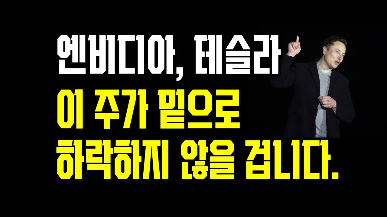 걱정하지 말자 엔비디아 조정 테슬라 하락 전문가들만 아는 주가 전문가들 보는 교육영상포함 Youtube