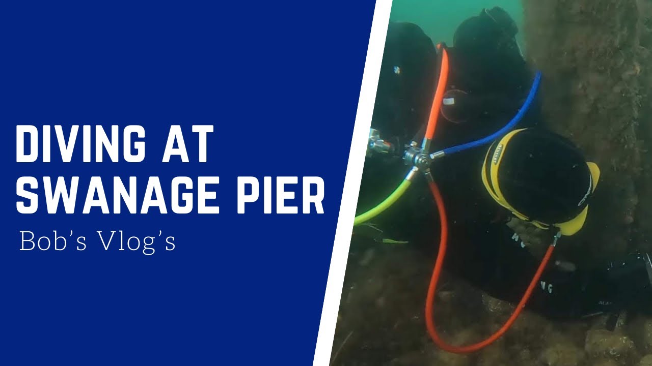 Diving at Swanage | Bob’s Vlog’s 🤿 - YouTube
