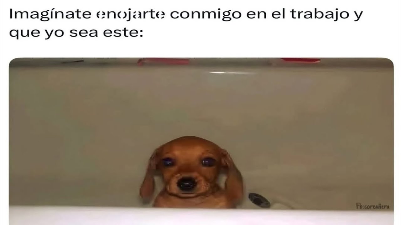 Memes sin contexto # 25 😀 - YouTube