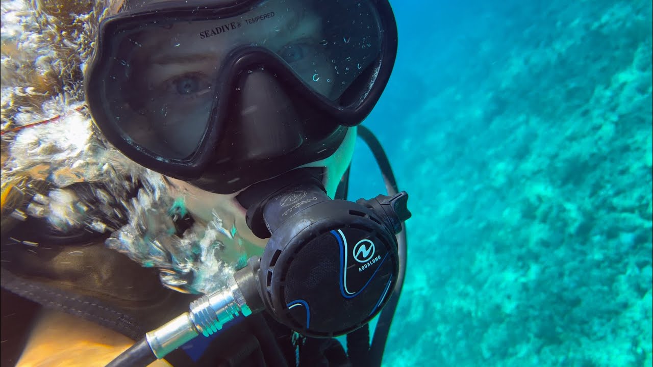 @trinamason 4k diving with my dive buddy Dallas and my Dad August 10 ...