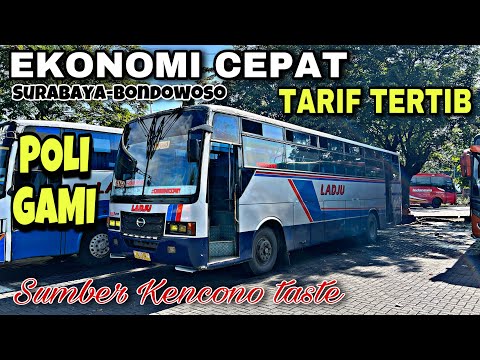 SUMBER KENCONO taste ❗️ Artis Bondowoso , Ekonomi Cepat & Tarif Tertib ❗️| trip LADJU “ Poligami “