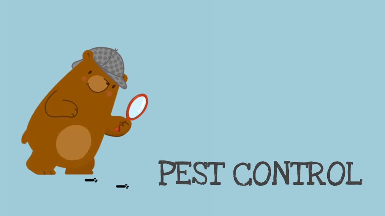 Pest Control Ad Video Template (Editable) - YouTube