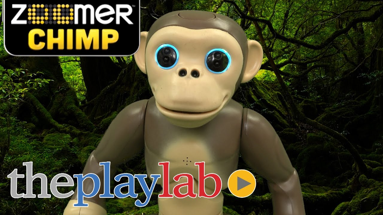 Play Lab | Zoomer Chimp - YouTube